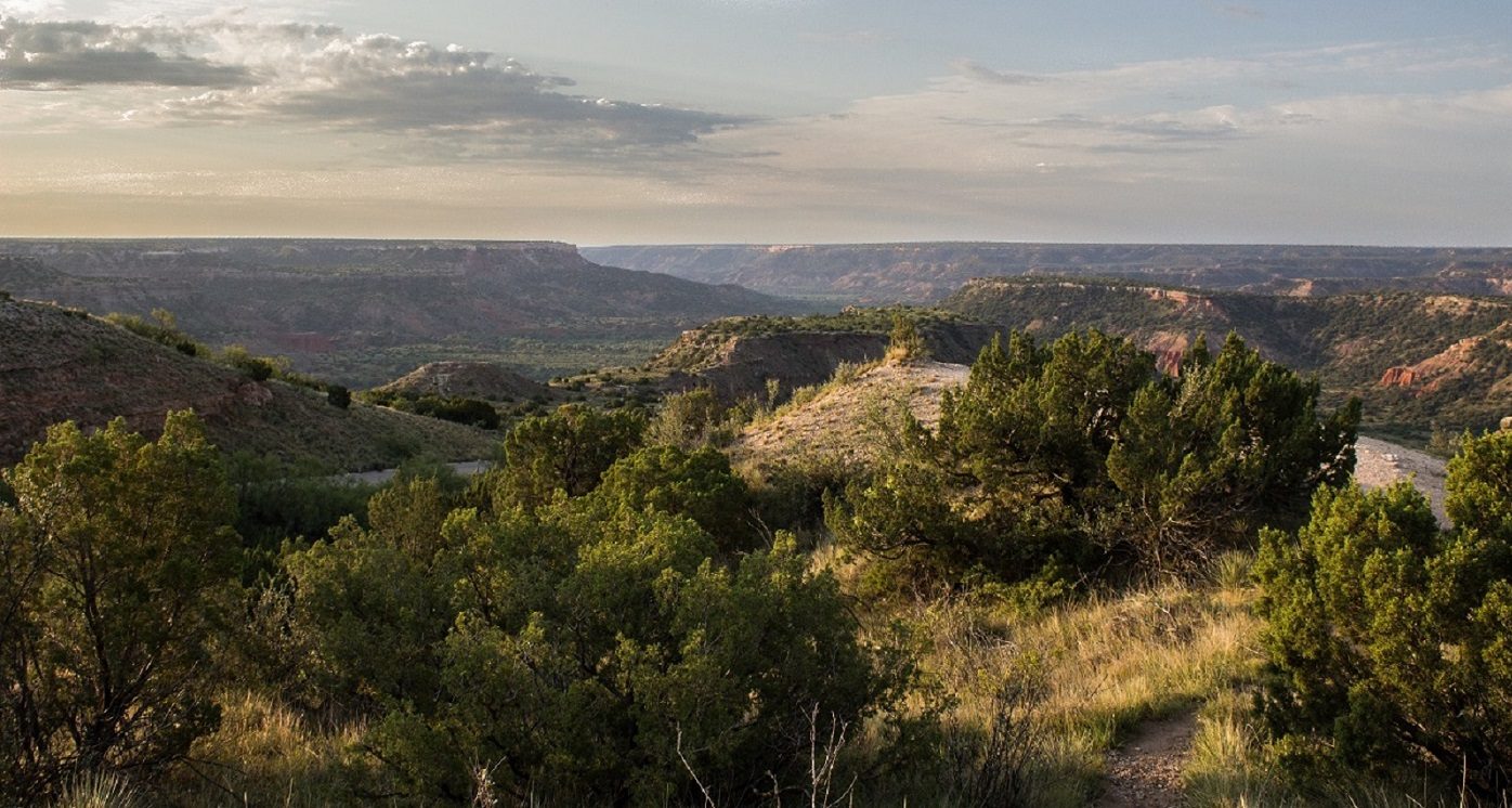 Move Like Peter – Fox Tales